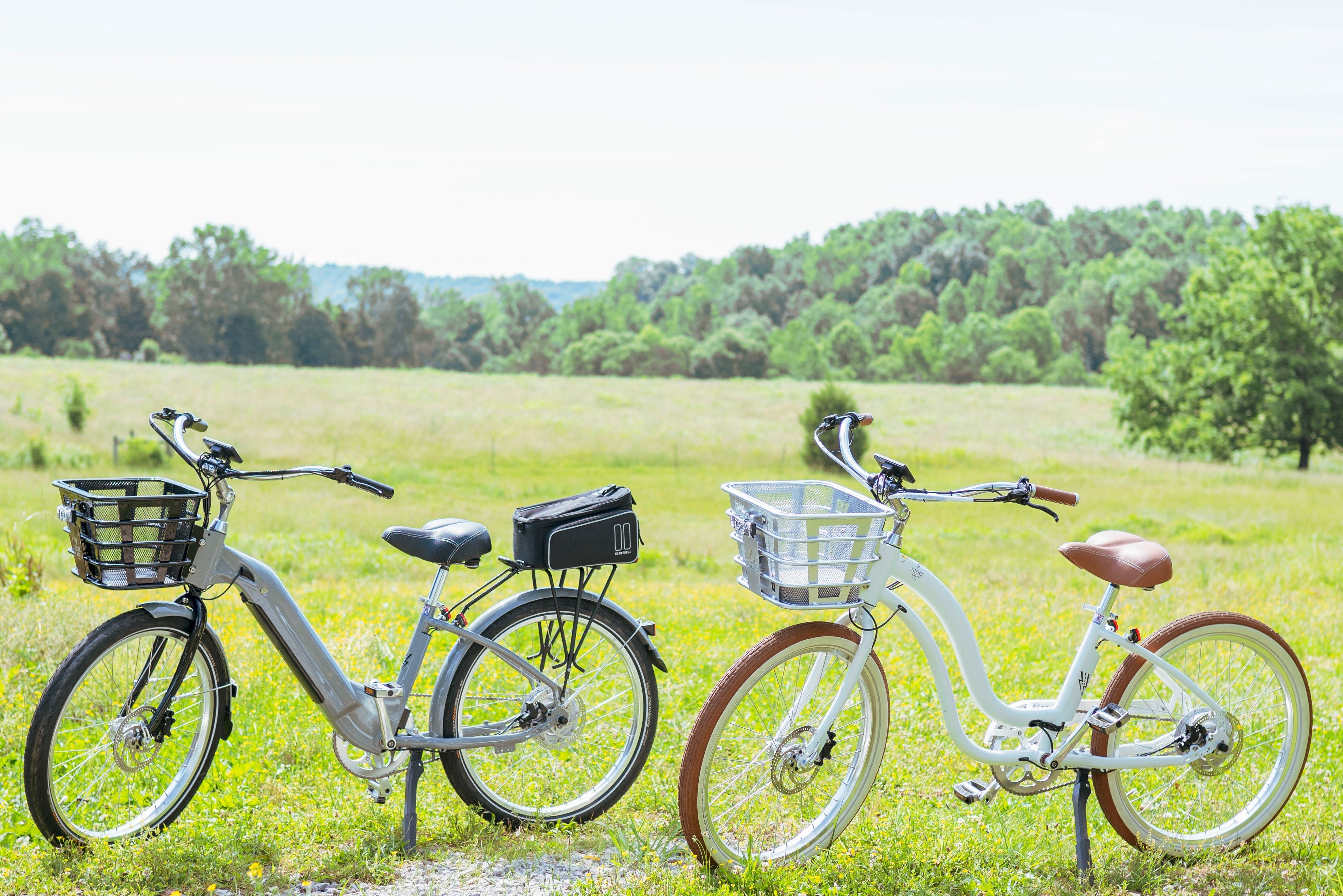 Townsend 2 ebike rental 1/2 day (tax included) – Scotty-Bike